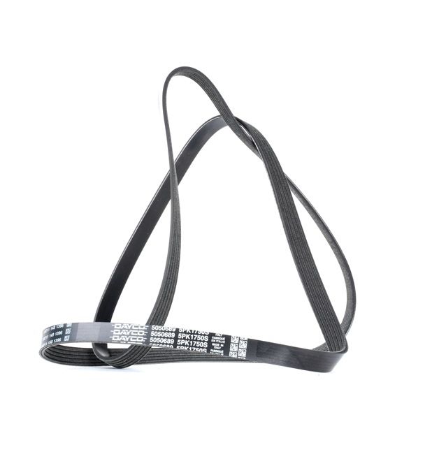 Keilrippenriemen Rippenanzahl: 5, 1750,0mm 5PK1750 von DAYCO